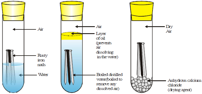 Corrosion of Metals - Metals and Non Metals, Class 10, Science Class 10 ...