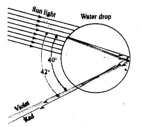 Explain the formation of rainbow? | EduRev Class 7 Question