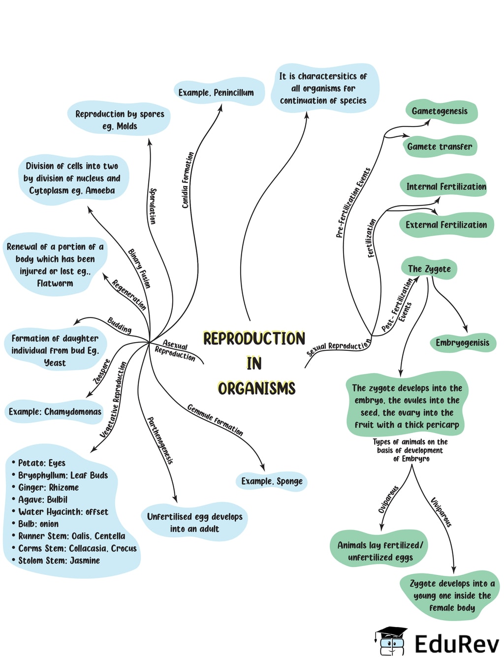 Mindmap Reproduction In Organisms NEET Notes EduRev