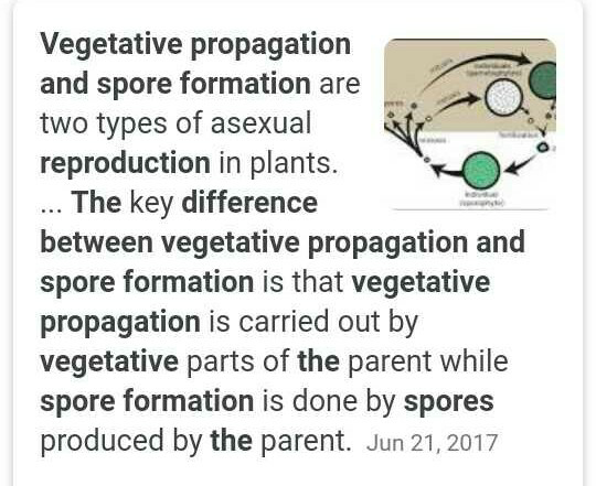 Differentiate between vegetative propagation and spore formation ... Differentiate between vegetative propagation and spore formation ...