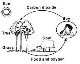 What does the figure given below represent?a)Interdependence between ...