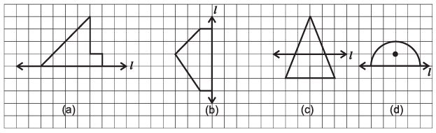 Worksheet Question: Symmetry Notes | EduRev