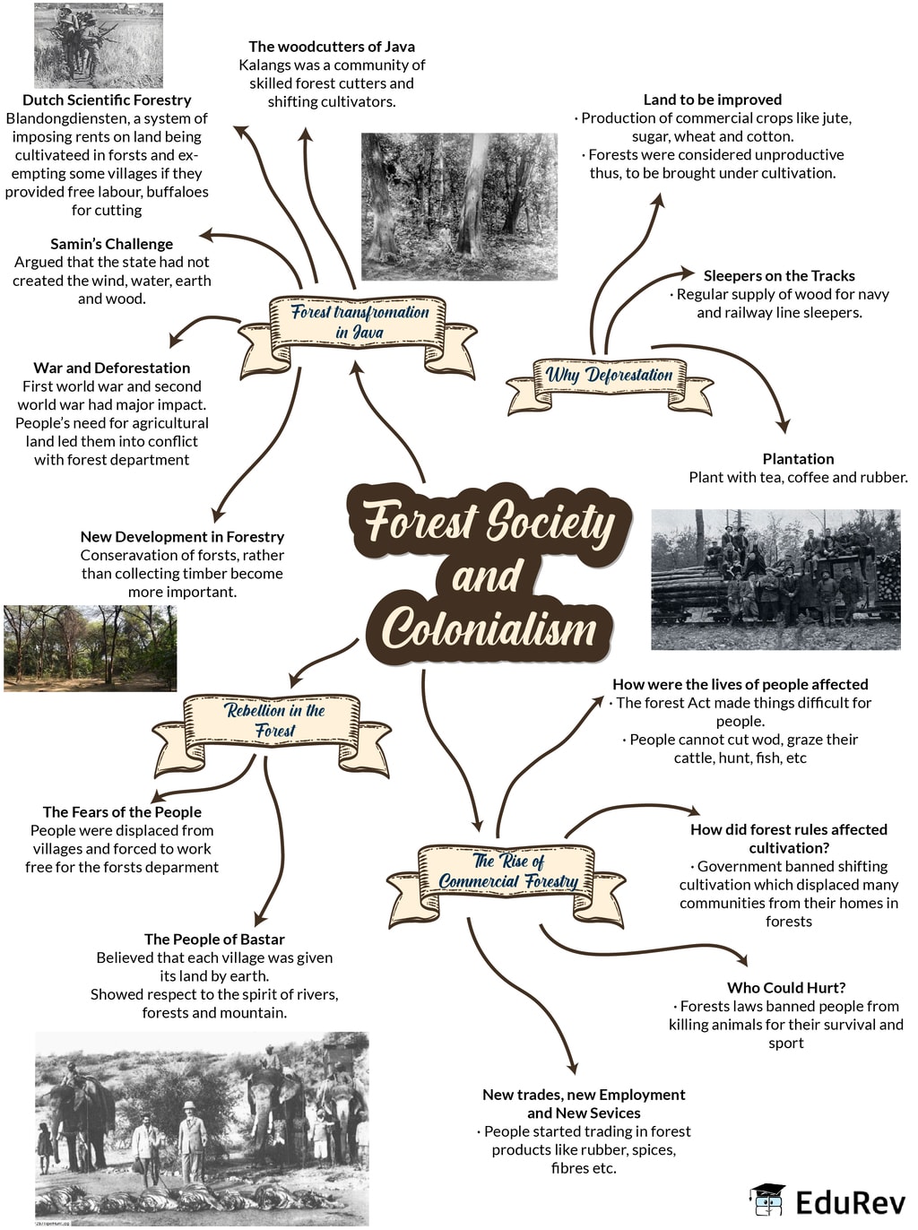Mindmap: Forest society and Colonialism Notes | EduRev