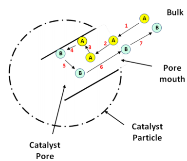 Introduction to Catalysis - Notes - Chemical Engineering