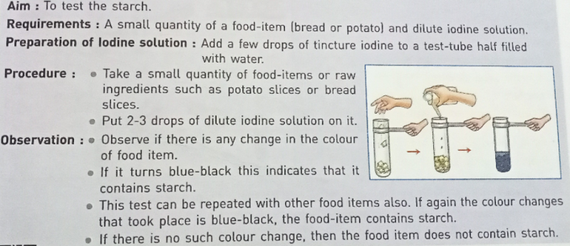 Explain an experiment to test the starch.? | EduRev Class 6 Question