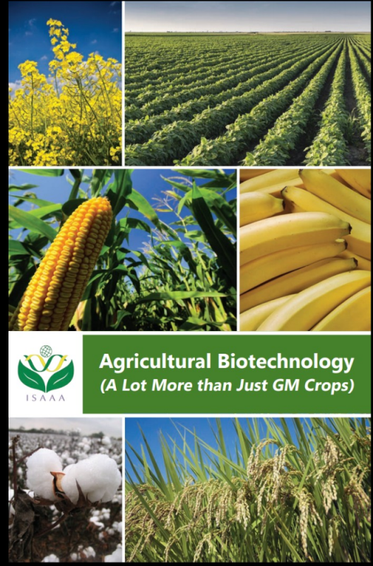 Plant Biotechnology A New Revolution Biotechnology Engineering BT plant-biotechnology-a-new-revolution-biotechnology-engineering-bt