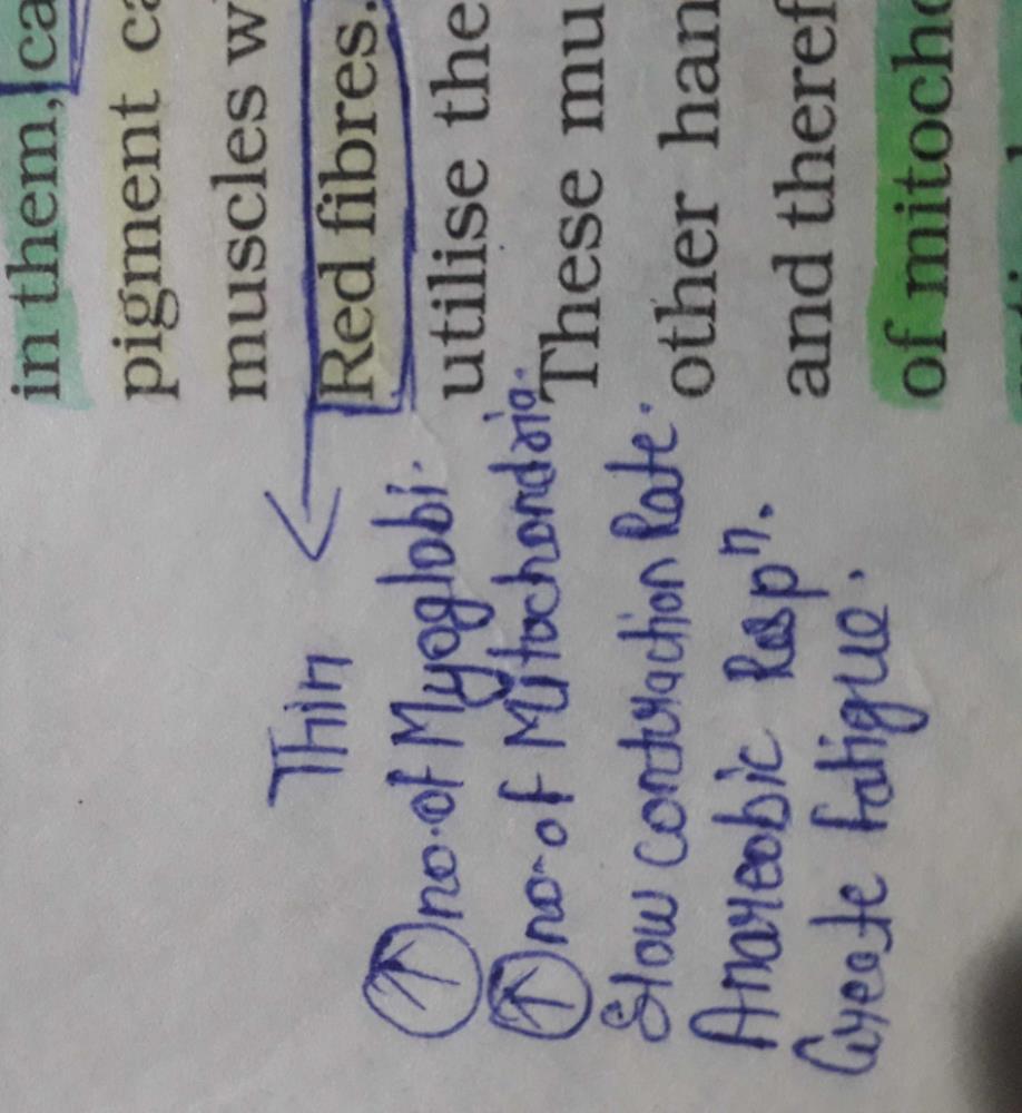 Difference between Red and white muscle fibres? | EduRev NEET Question Difference between Red and white muscle fibres? | EduRev NEET Question