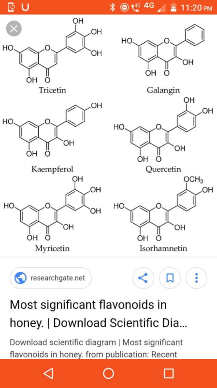 what is the structure of honey | EduRev NEET Question