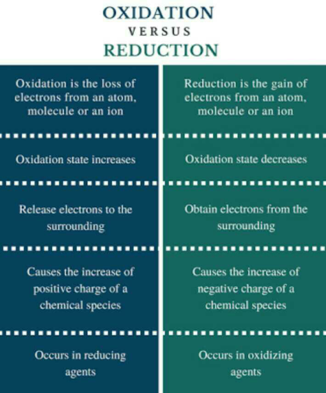 Differentiate Between Oxidation And Reduction EduRev Class 10 Question differentiate-between-oxidation-and-reduction-edurev-class-10-question