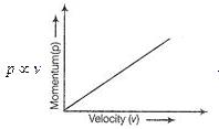 What will be the shape of the graph between Momentum and velocity (i ...
