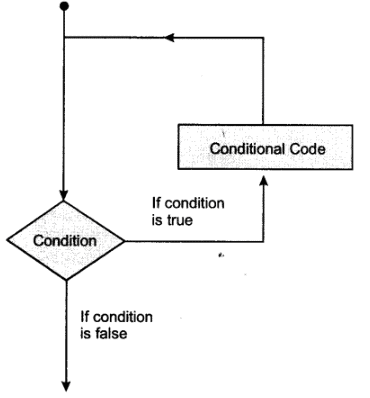 NCERT Solution - Conditional and Looping Constructs, Computer Science ...