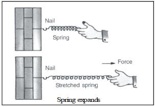 Types of Force Class 9 Notes | EduRev