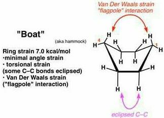 Flagpole interaction is present in A-Boat form of cyclohexane B-Chair ...