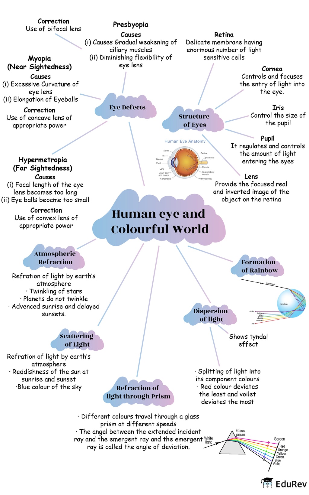 Mindmap Ray Optics The Human Eye And Colorful World Class 10 Notes