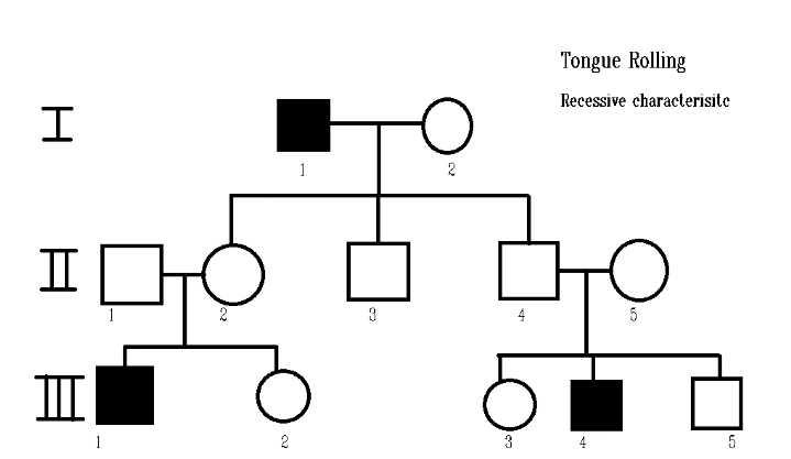 Please explain the pedigree analysis of Tongue rolling with a full ...