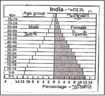 CLASS 12 GEOGRAPHY – Population Composition – Soaring High