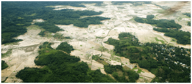 Deforestation Class 9 Class 9 Notes EduRev deforestation-class-9-class-9-notes-edurev