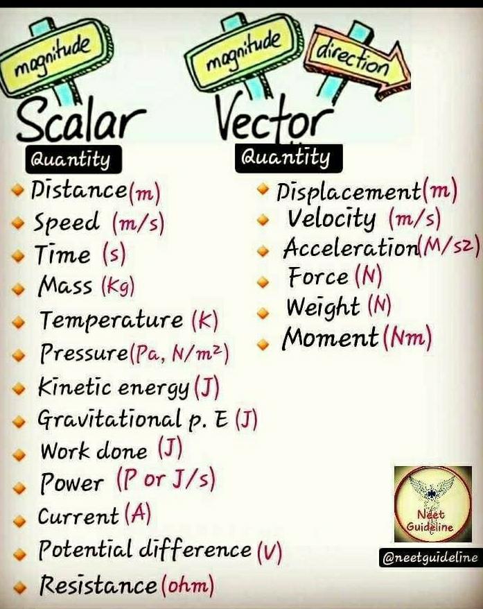 The scalar quantity among the following? | EduRev Class 11 Question