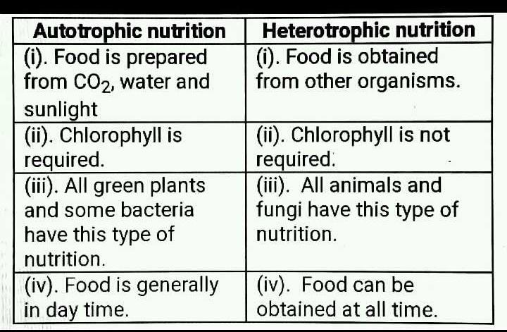 What are the differences between autotrophic nutrition and ... What are the differences between autotrophic nutrition and ...
