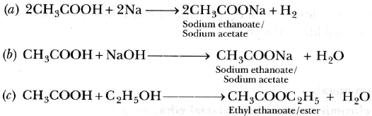Na2co3h2onaohco2 Balanced Equationsodium Carbonate