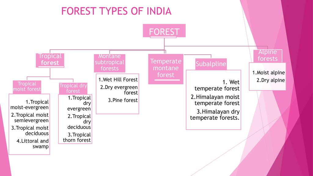 Shankar IAS: Summary of Terrestrial Ecosystem UPSC Notes | EduRev