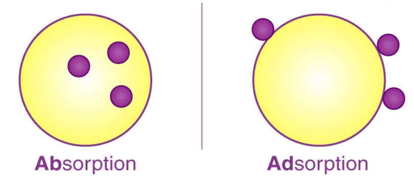 Adsorption And Absorption Adsorbtion Definition Examples