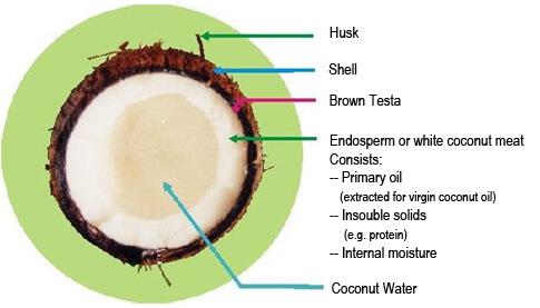 Seed NEET Notes | EduRev