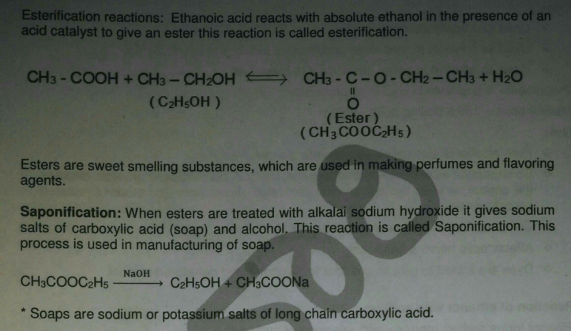 What is esterification and saponification.? | EduRev Class 10 Question