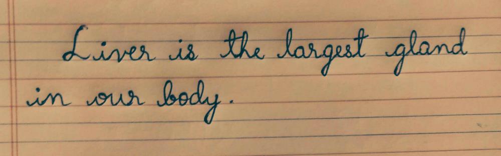 Largest Gland In Our Body EduRev Class 10 Question largest-gland-in-our-body-edurev-class-10-question