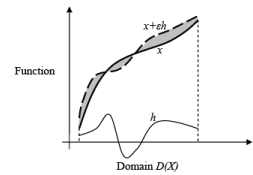 Variation of a functional - Calculus of Variations, CSIR-NET ...