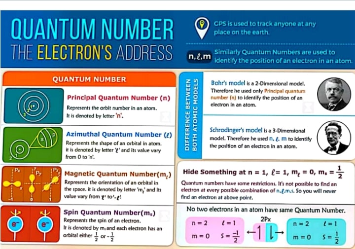 Quantum Number - Notes - Class 11