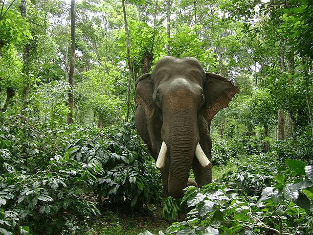 Short Notes Land Soil Water Natural Vegetation And Wildlife Short Notes Land Soil Water Natural Vegetation And Wildlife