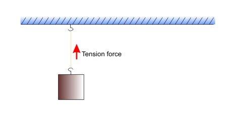 Class 8 Notes | EduRev